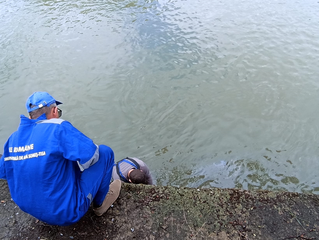 A fost identificată sursa poluării de pe Someșul Mic - Radio Romania Cluj