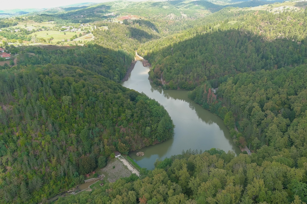 Lacul Vida a intrat într-un amplu proces de reconstrucție ecologică ...