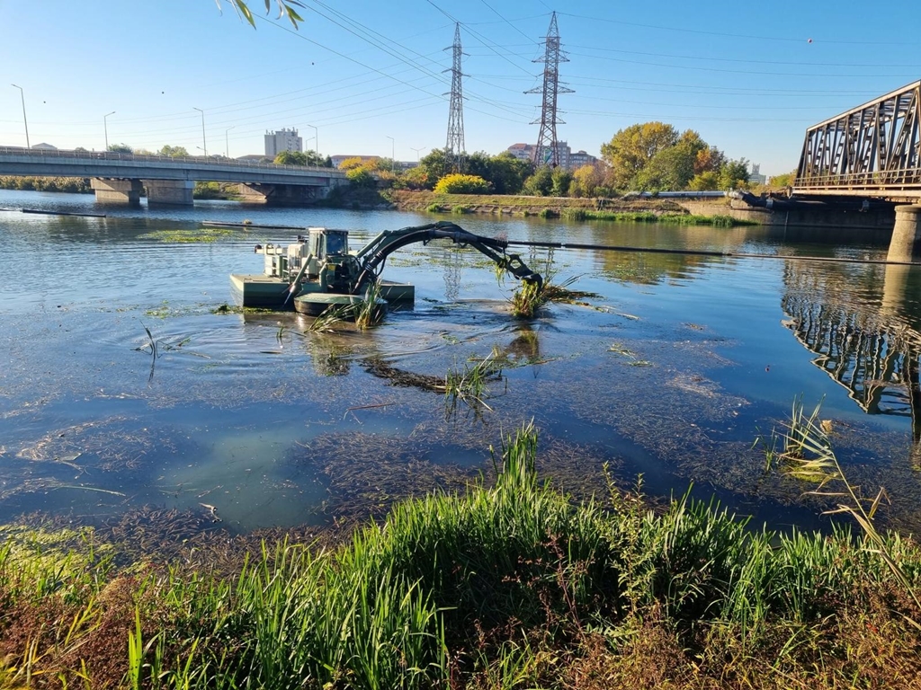 Se curăță Crișul Repede. Zeci de tone de vegetație au fost scoase din ...